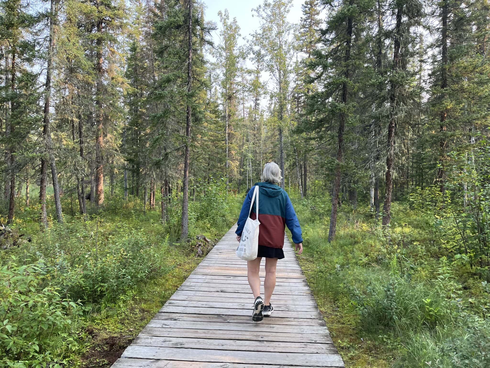 Ultimate Guide for RVing to Alaska 2025 (By An Expert) - Practical ...