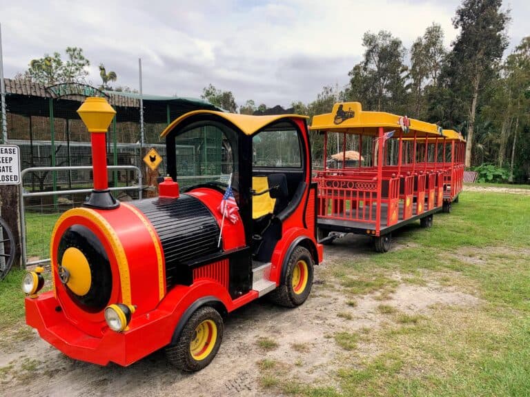 17 Fun Things to Do in Naples, Florida with Kids - Practical Travel ...
