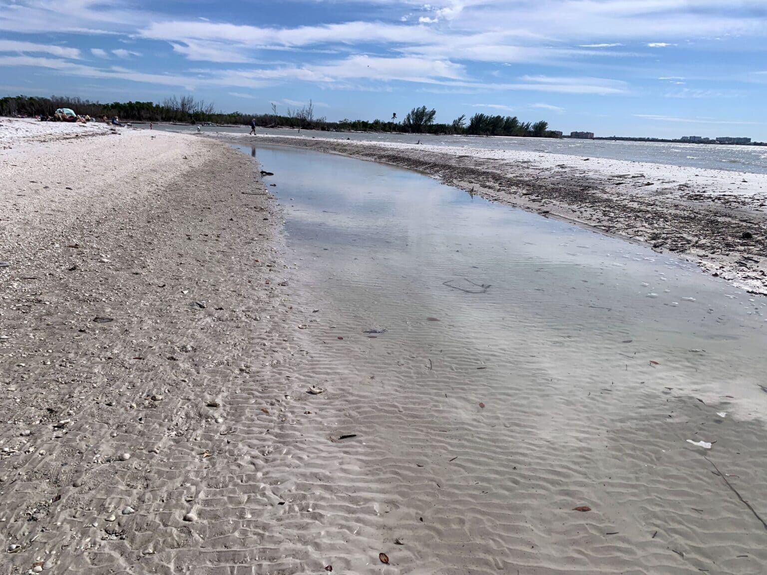 Keewaydin Island Complete Local Guide: Things To Do & More! - Practical ...