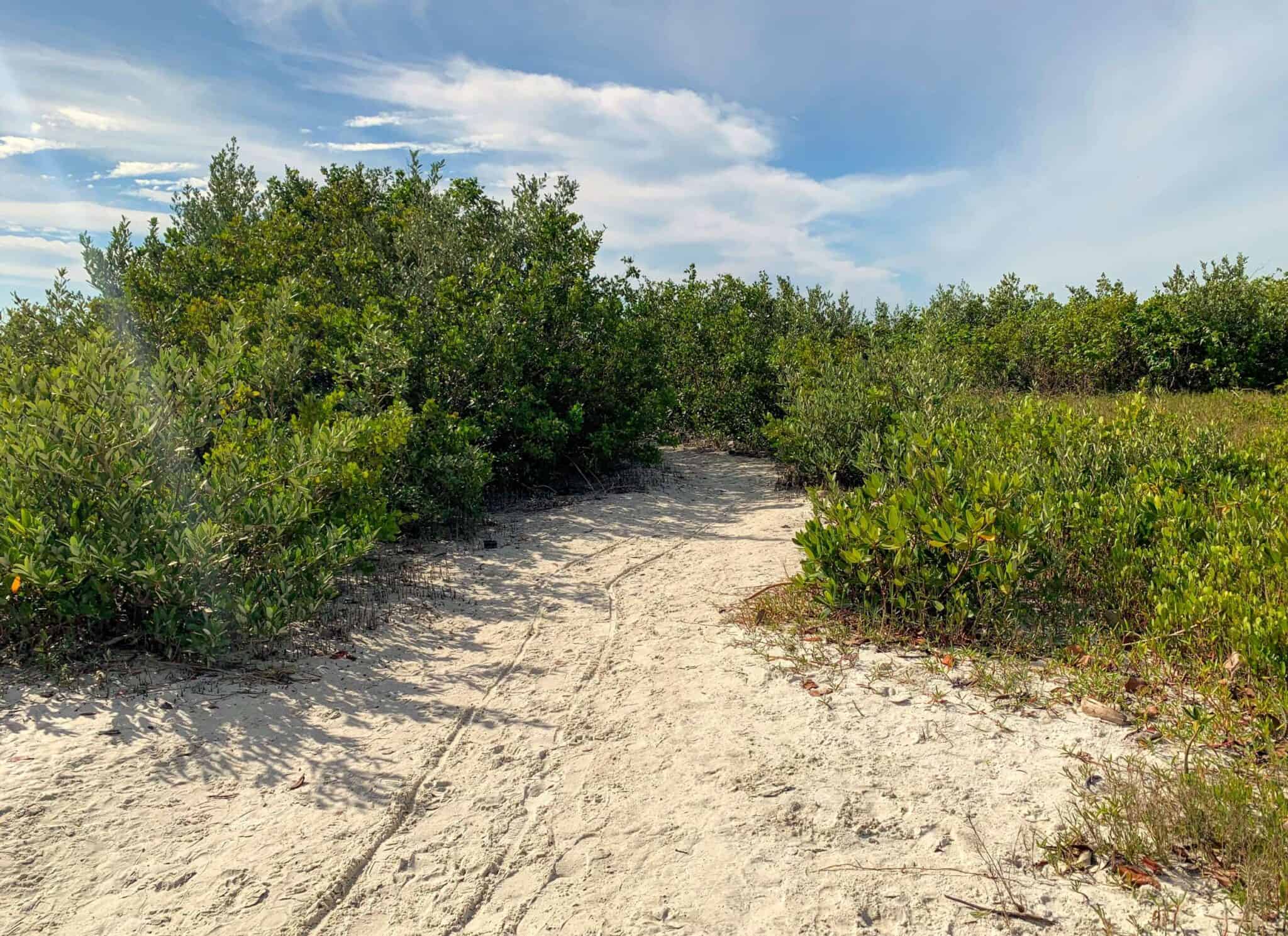 Keewaydin Island Complete Local Guide: Things To Do & More! - Practical ...
