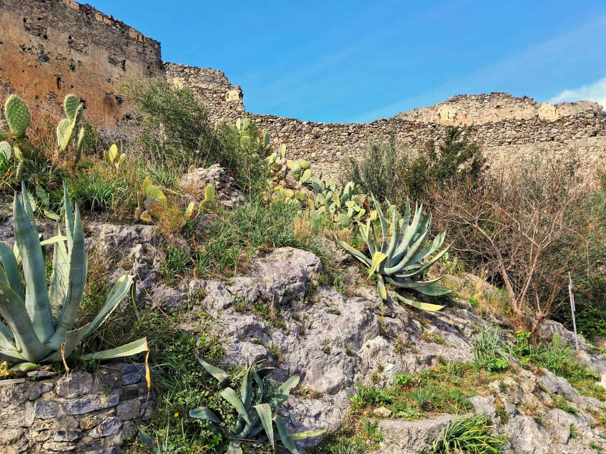 Best Things to Do in Scalea, Calabria: History, Beaches & Charm ...